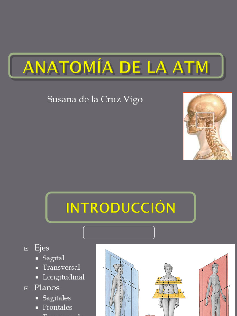 Anatomía de la ATM 1 | PDF