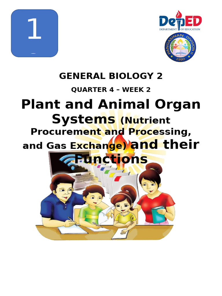 Biology2 Quarter 4 Module 2 Plant and Animal Organ System and Their ...