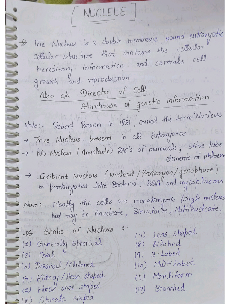 Nucleus Class Notes | PDF