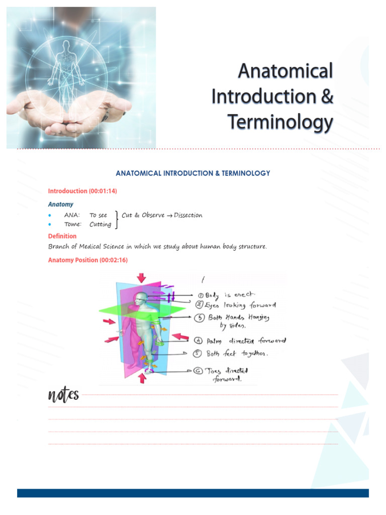 3240 Handwritten Notes Introduction To Anatomical Term & | PDF