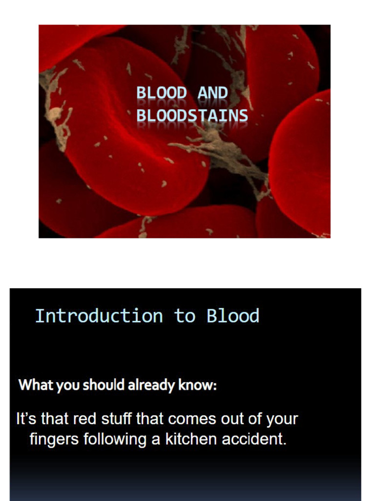 Blood Spatter PPT 2 | PDF
