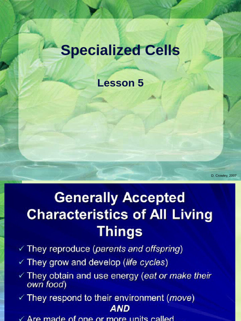 Lesson 5. Students Specialised Cells | PDF | Tissue (Biology) | Cell ...