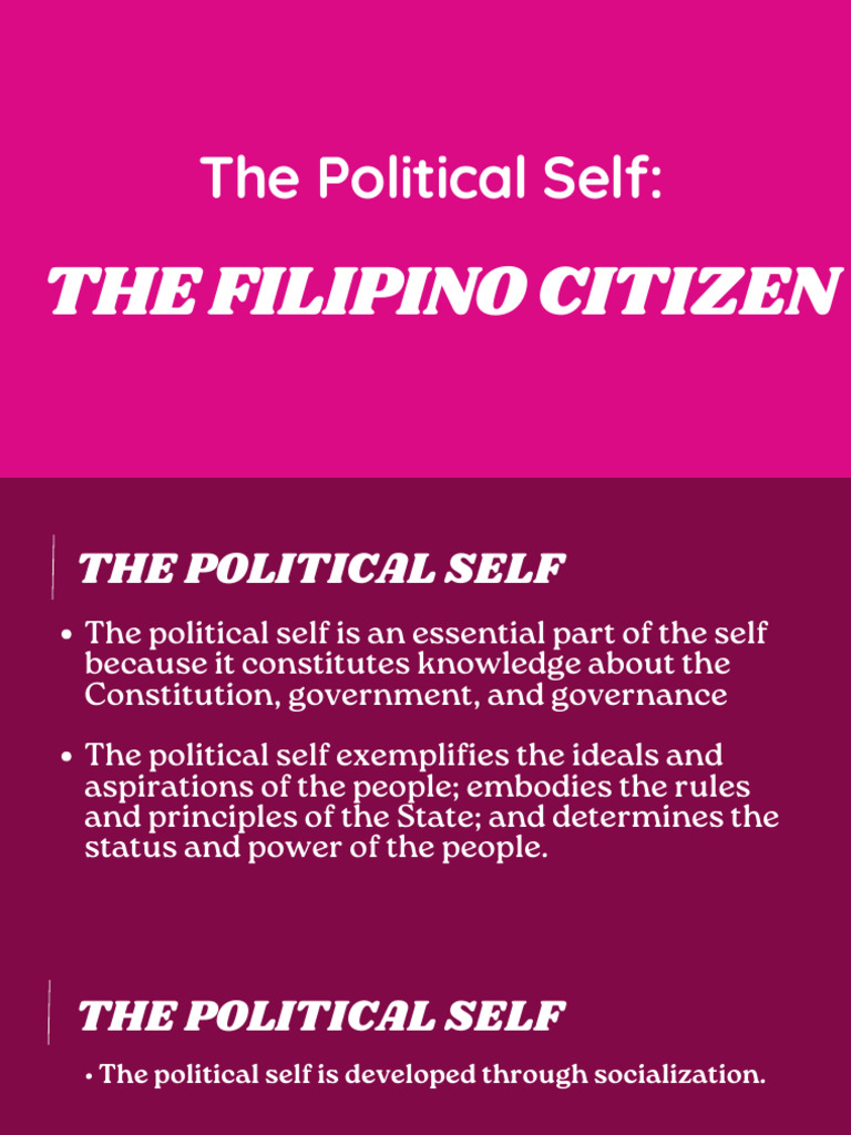 Political Self | PDF