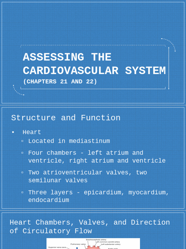 Assessing The Cardiovascular System | PDF