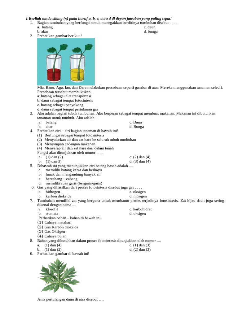 STS Ipas SMT 1 G4 2024 2025 | PDF