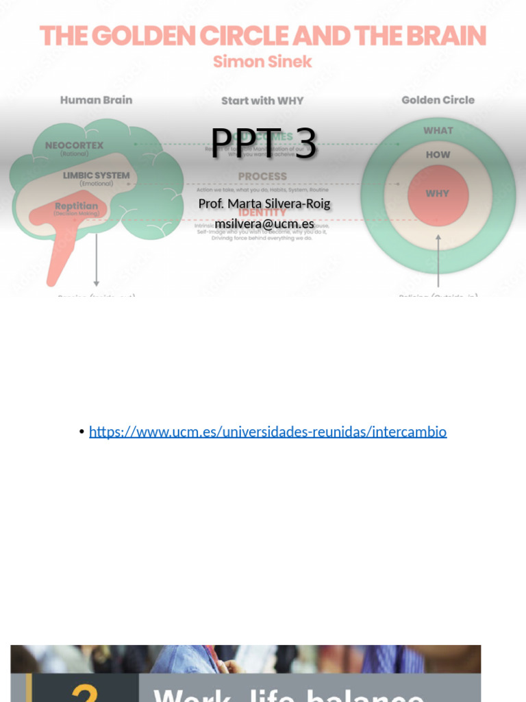 PPT3 | PDF