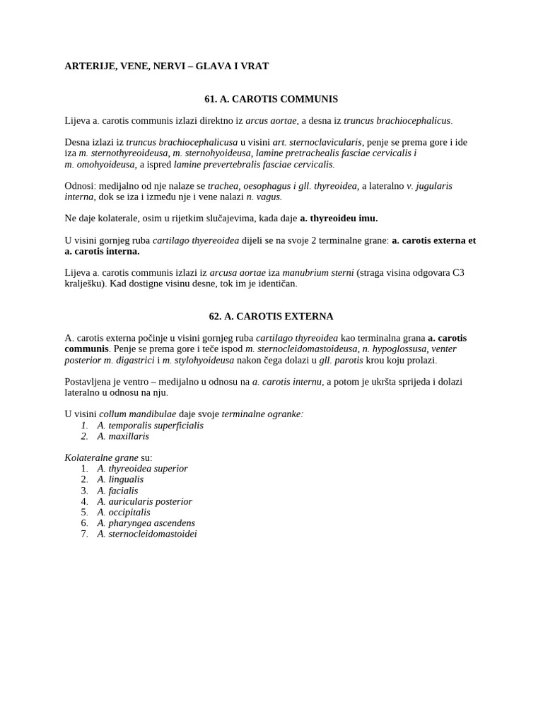 AVN - Vrat - Kopija | PDF