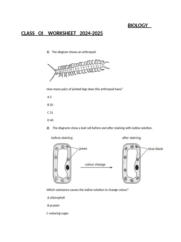 Biology Class Oi Worksheet 2024 | PDF