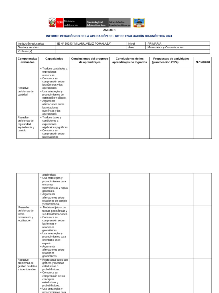 Informe Evaluación Diagnóstica 2024 | PDF