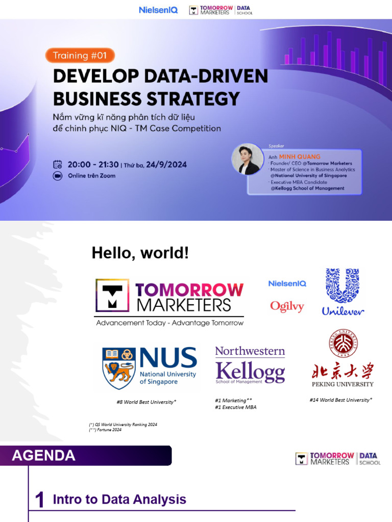 Data Analysis Nielsen | PDF