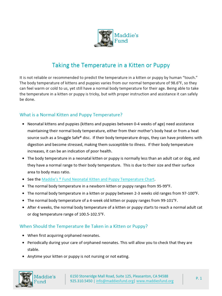 Educational Handout- Taking the Temperature in a Kitten or Puppy | PDF