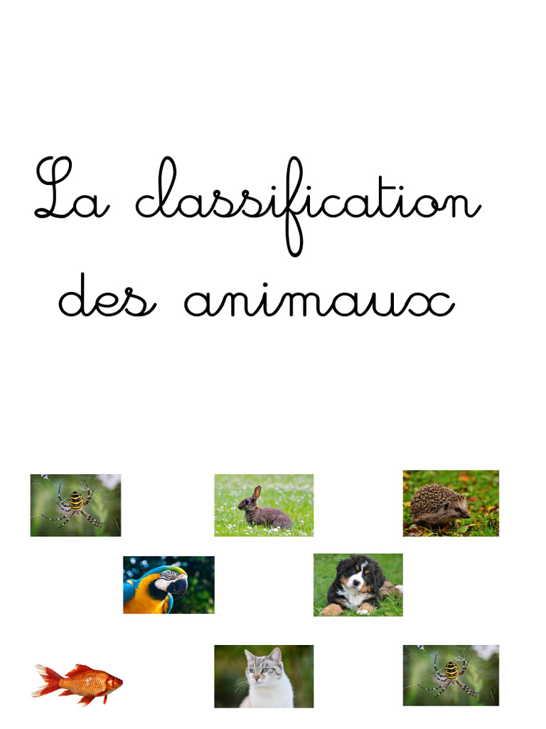 La classification des animaux | PDF