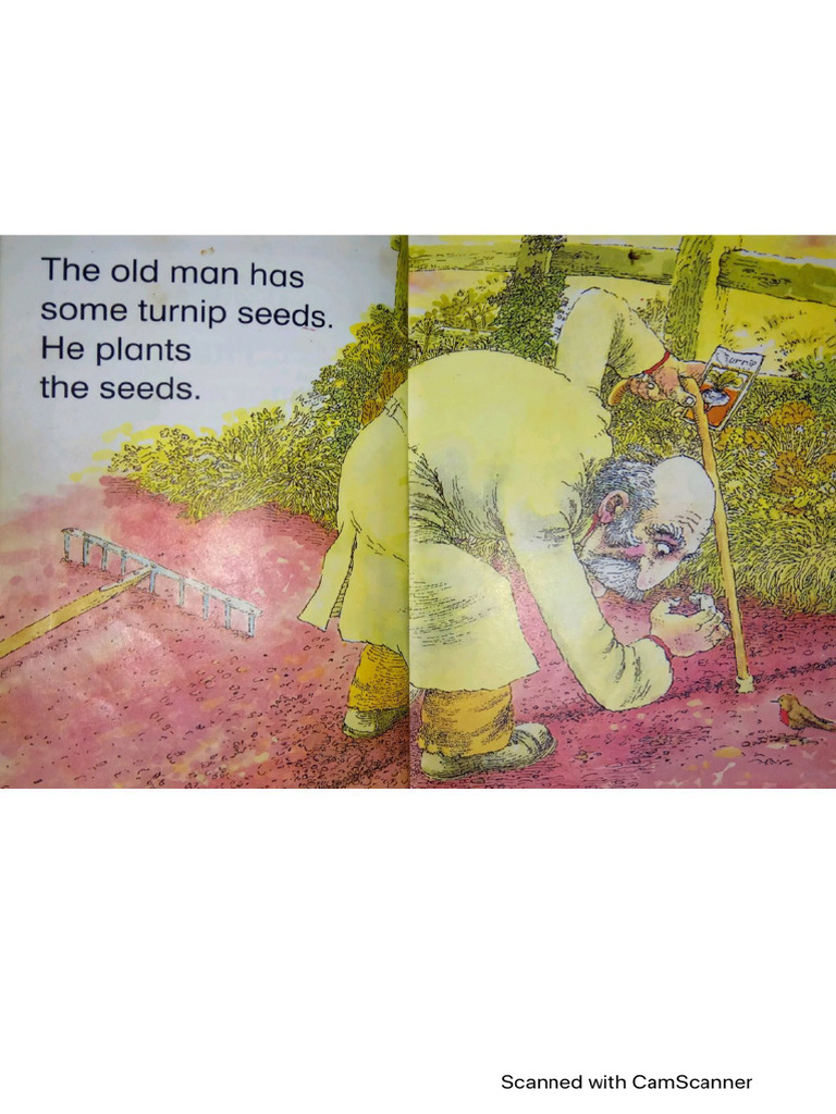 The Enormous Turnip(Reader)-0 | PDF