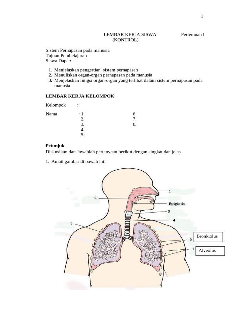 LKPD Organ (2) 2 | PDF
