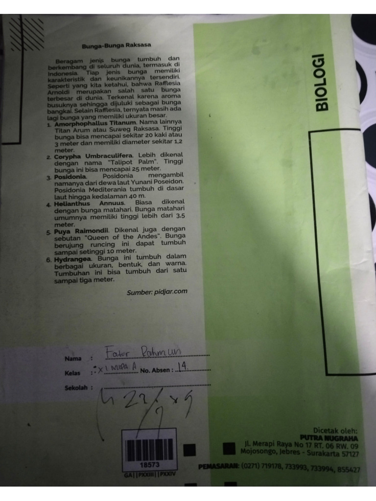 Fatur Rahman 11 Mipa A PDF | PDF