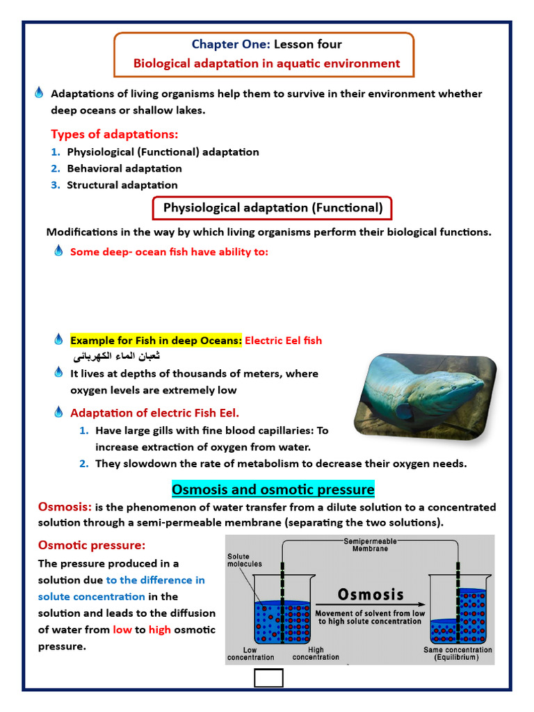Chapter 1 - Lesson 4 - Part 1 + التقييمات | PDF