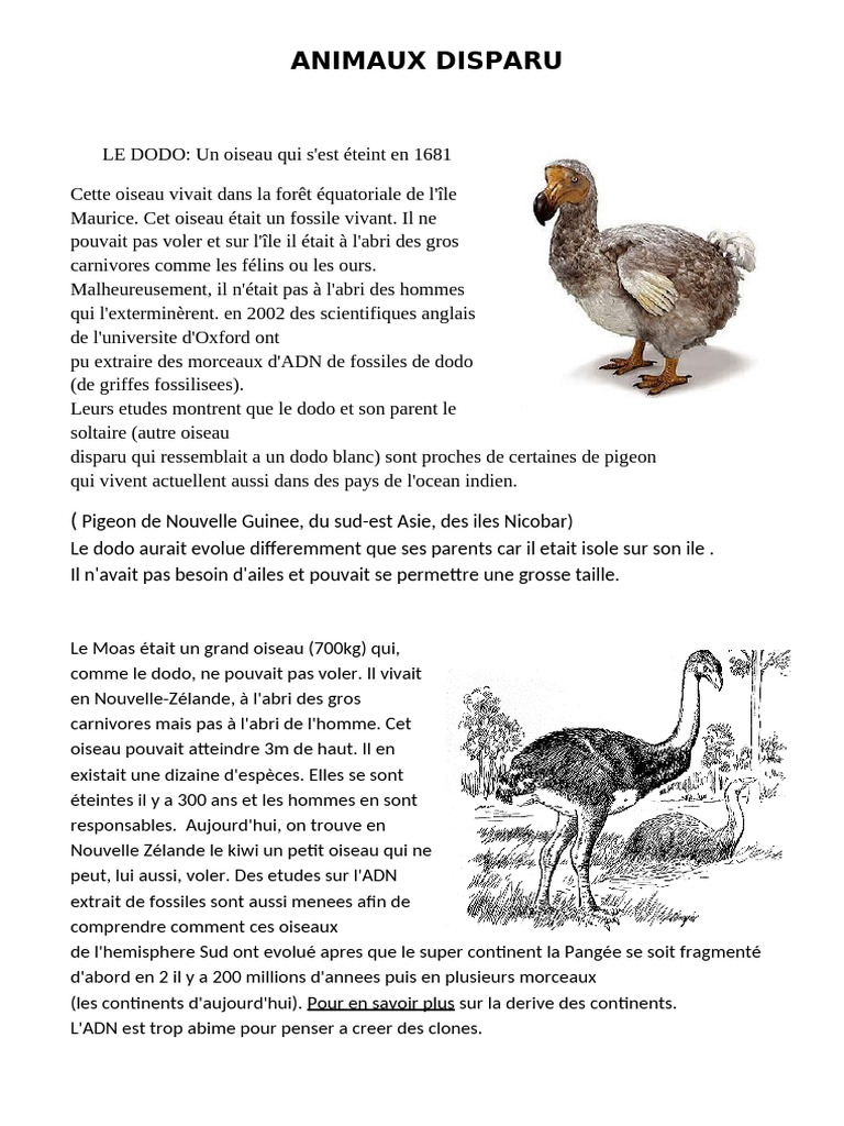 Animaux Disparu | PDF