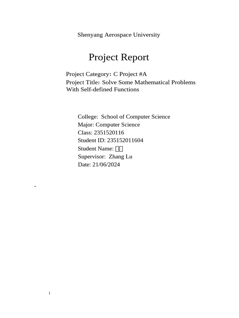 -卡凌-C Project Report | PDF