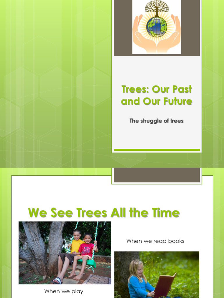 079 Lesson Plan Trees Our Past and Sustainable Future Powerpoint | PDF