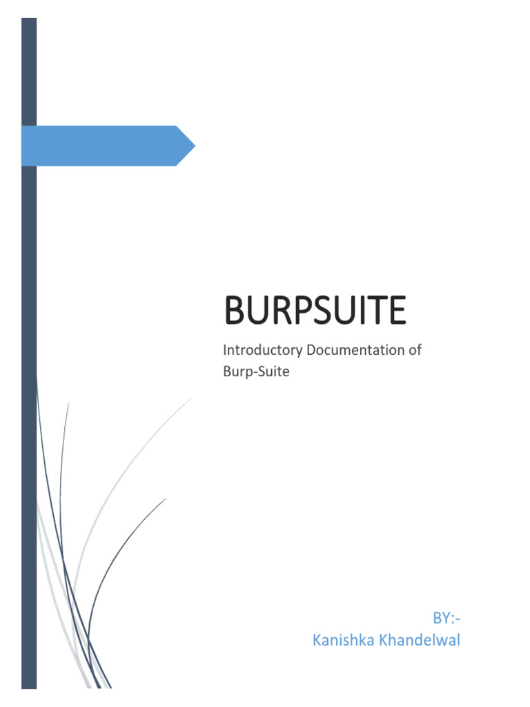 Burp Suite | PDF