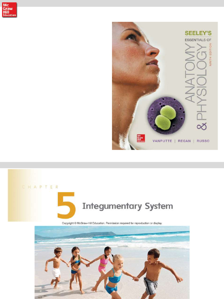 Chapter 5 Integumentary System 1 | PDF
