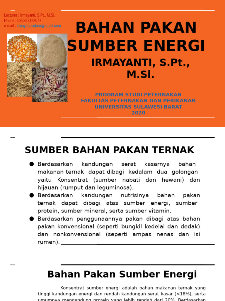 Bahan Pakan Sumber Energi | PDF