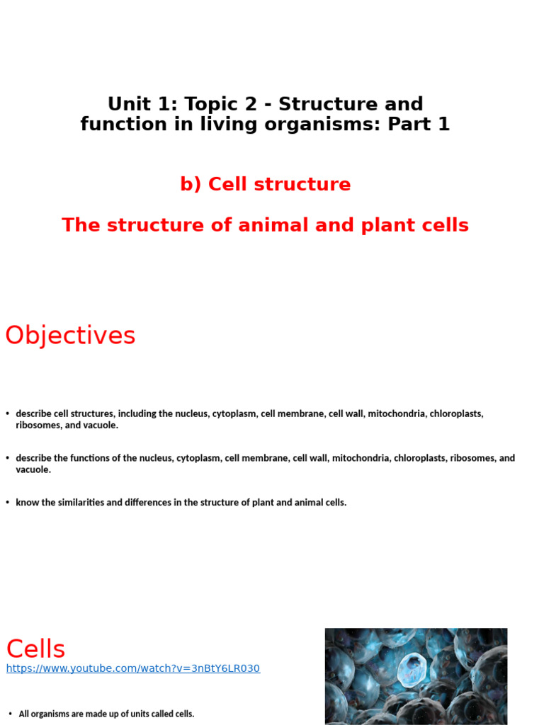 The Structure of Animal and Plant Cells | PDF