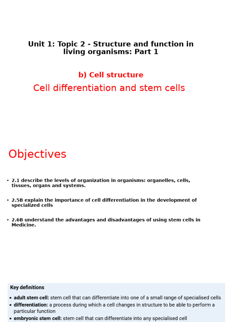 Cell Differentiation and Stem Cells | PDF