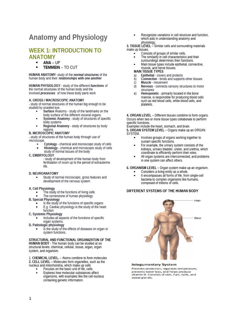 Anatomy And Physiology Pdf