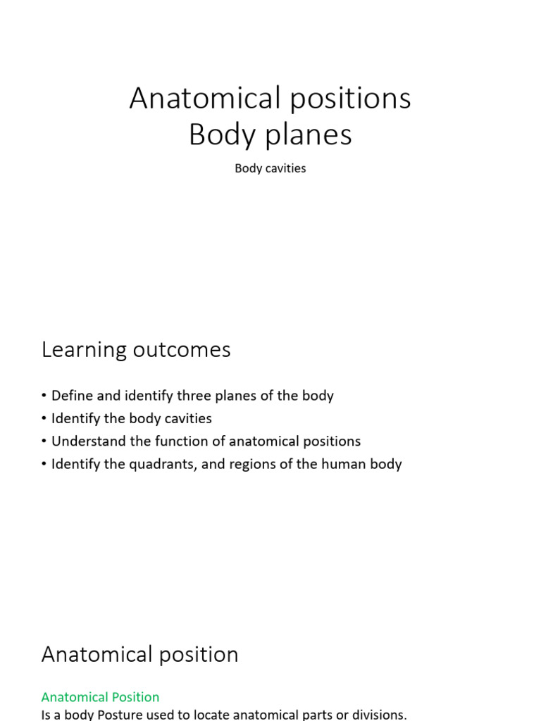 Anatomical Positions, Body Planes and Body Cavities | PDF | Anatomical ...