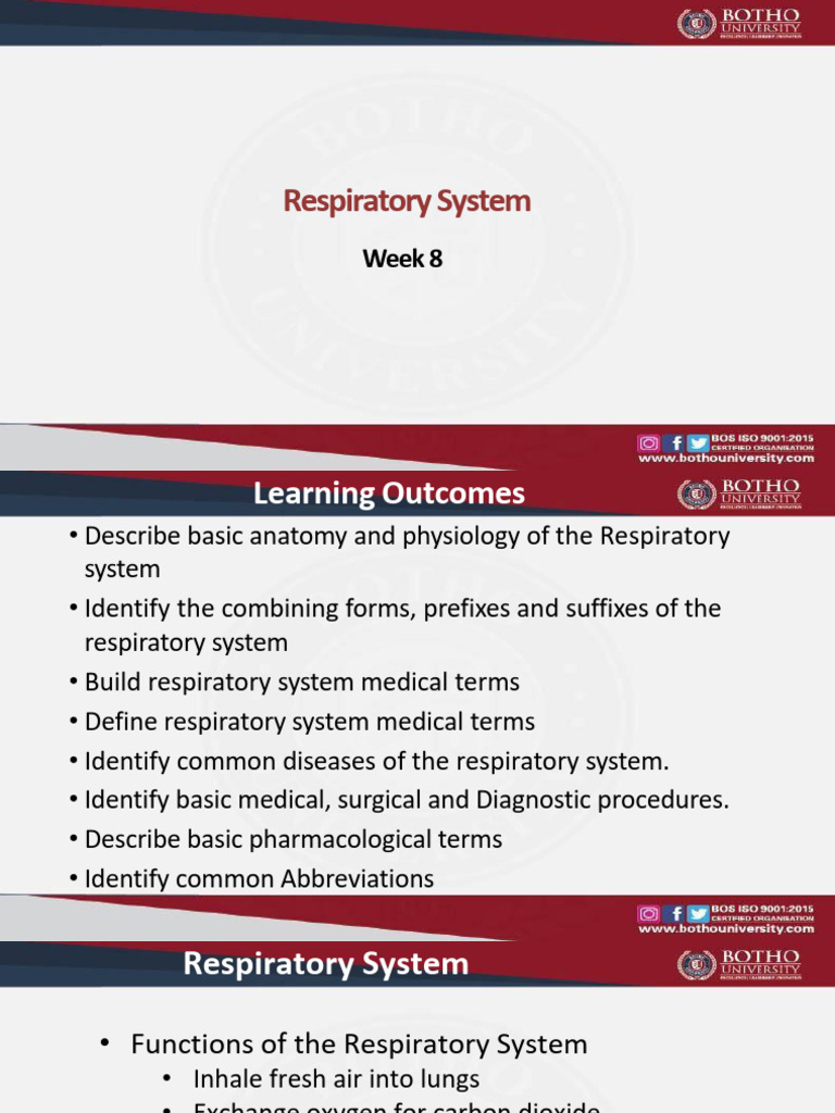 Respiratory system | PDF