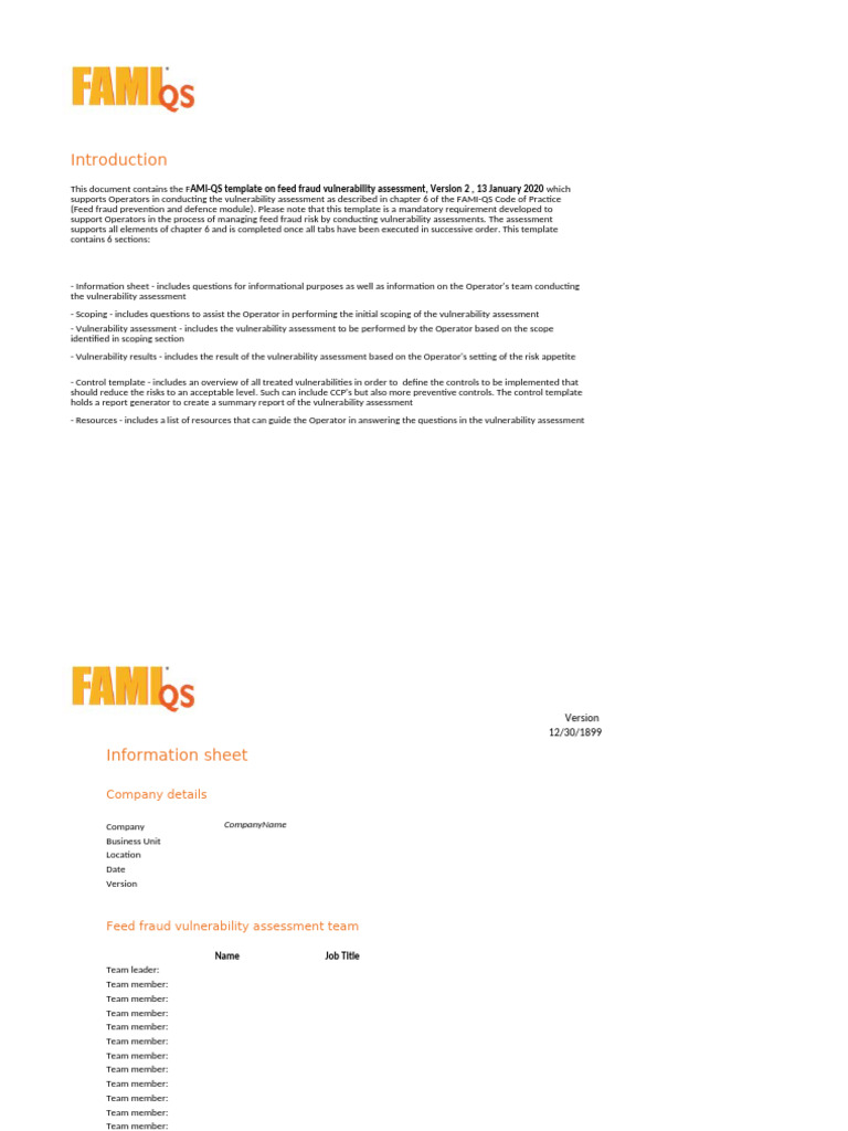 Vulnerability Assessment Template 20200113 | PDF