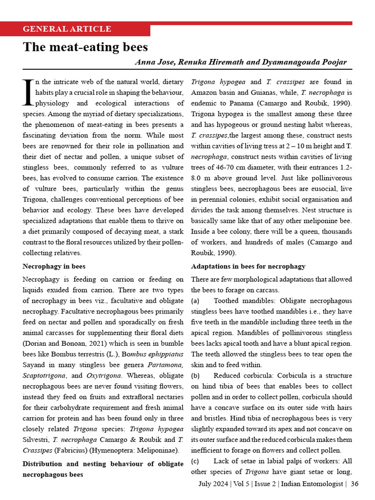 07f The Meat-Eating Bees | PDF