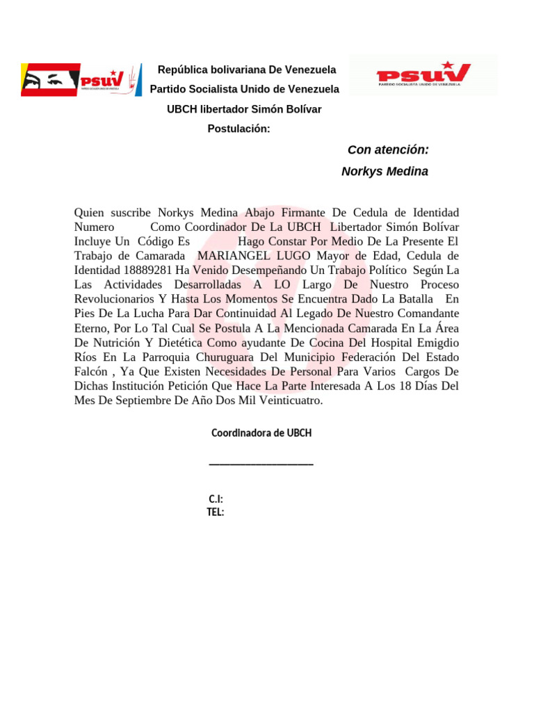 Carta De la UBCH | PDF