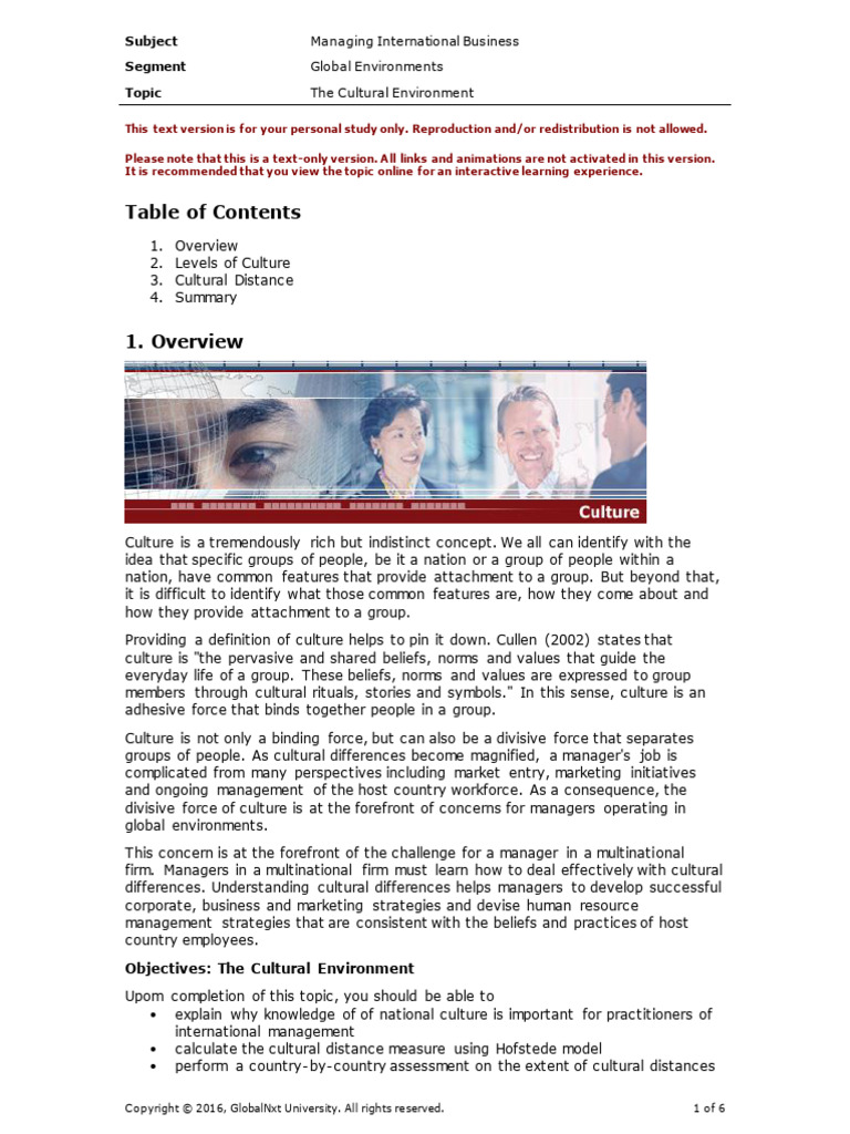 The Cultural Environment | PDF