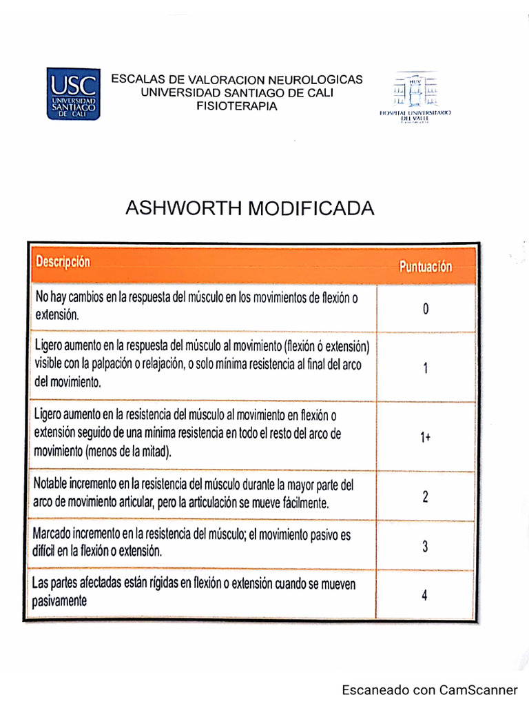 Ashworth Modificada | PDF