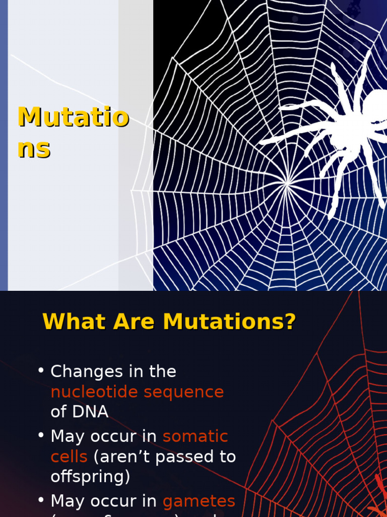 Types of Mutations | PDF