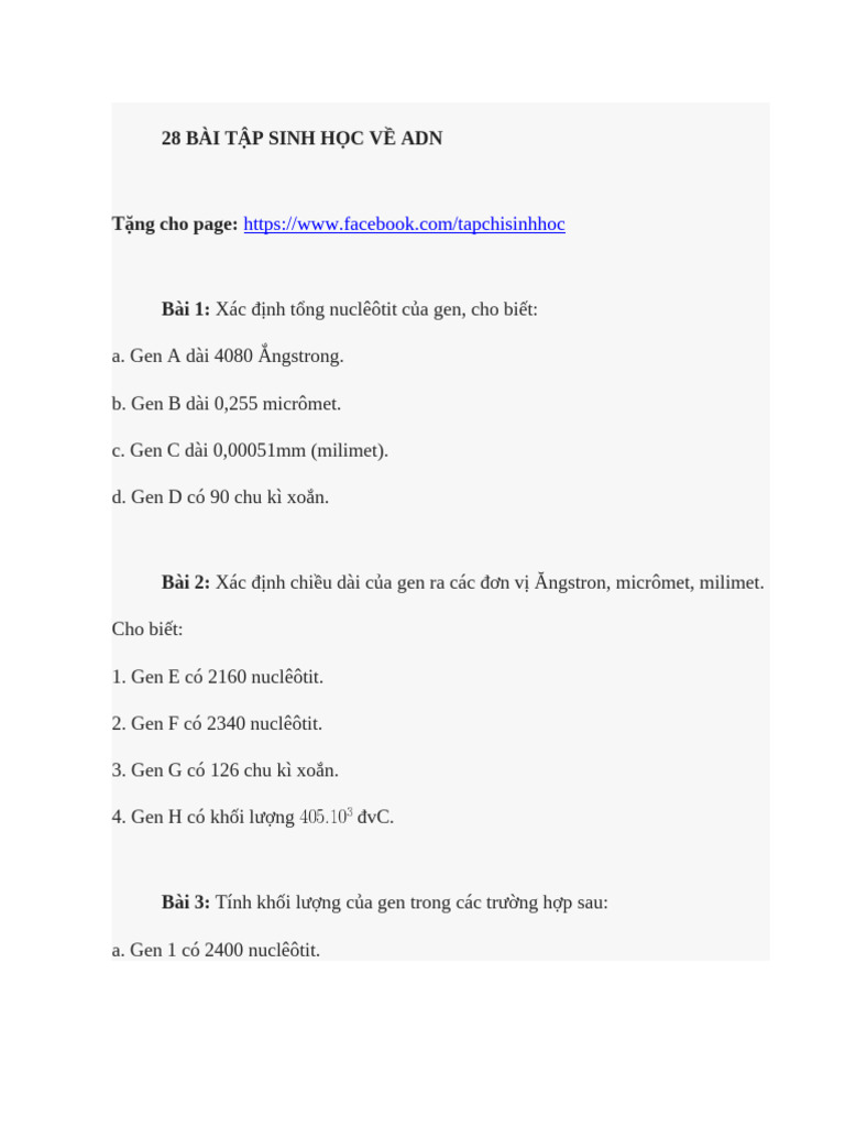 28 Bai Tap Ve Adn Co Ban | PDF