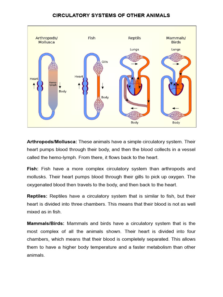Arthropods - Mollusca - These Animals Have A Simple Circulatory System | PDF