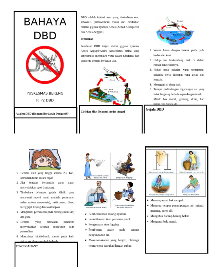 Leaflet DBD | PDF
