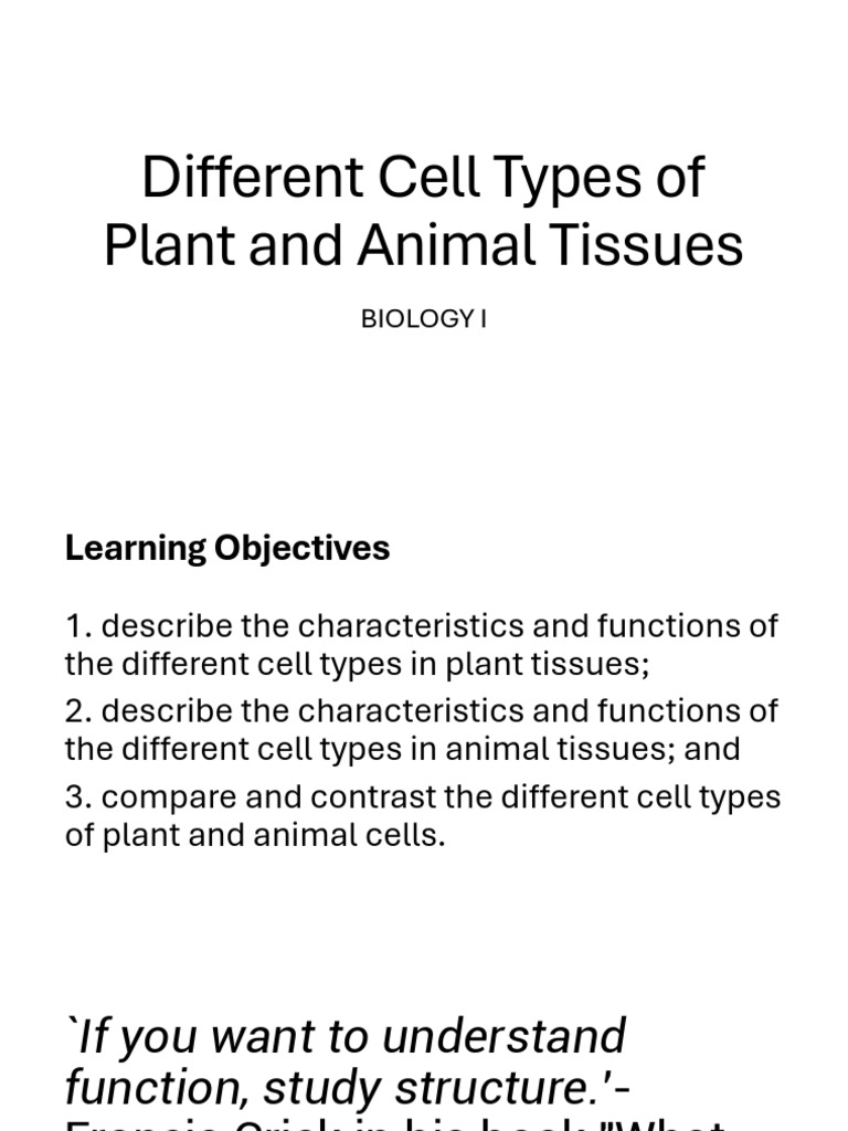 M4 Different Cell Types of Plant and Animal Tissues | PDF