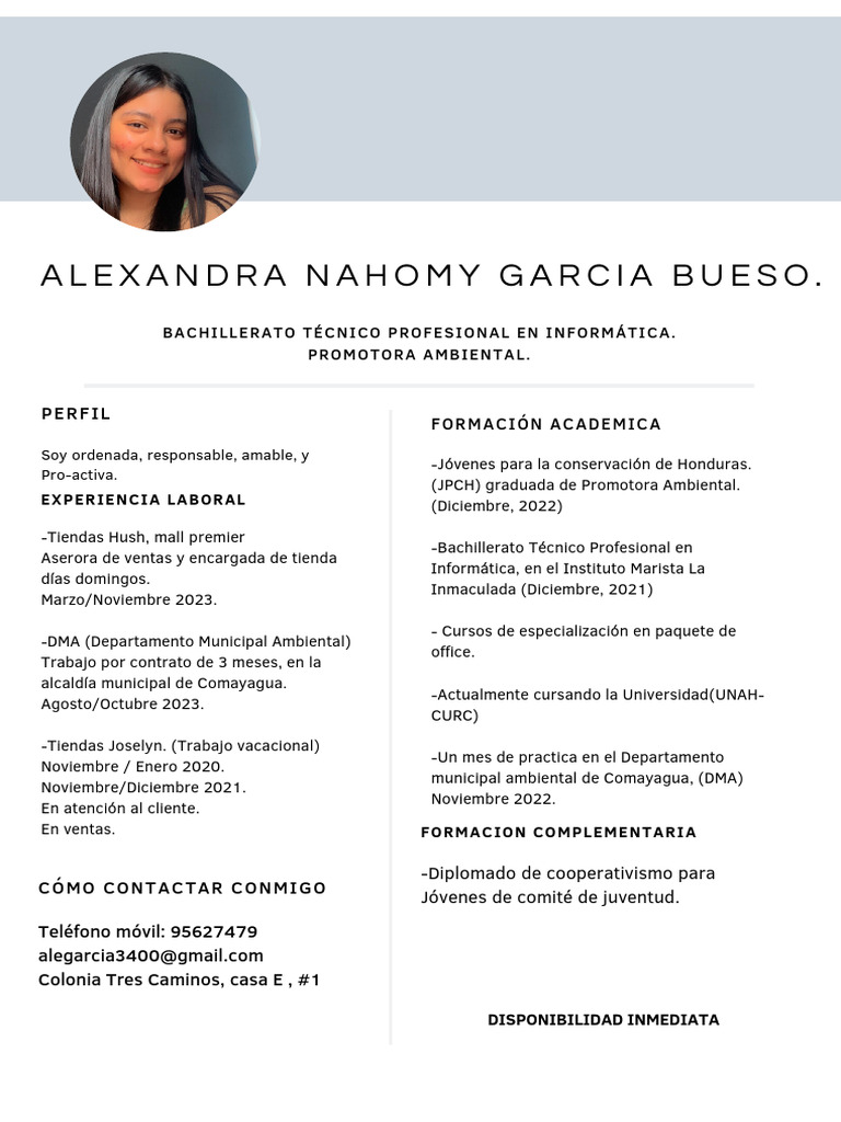 Curriculum Vitae 2024 | PDF