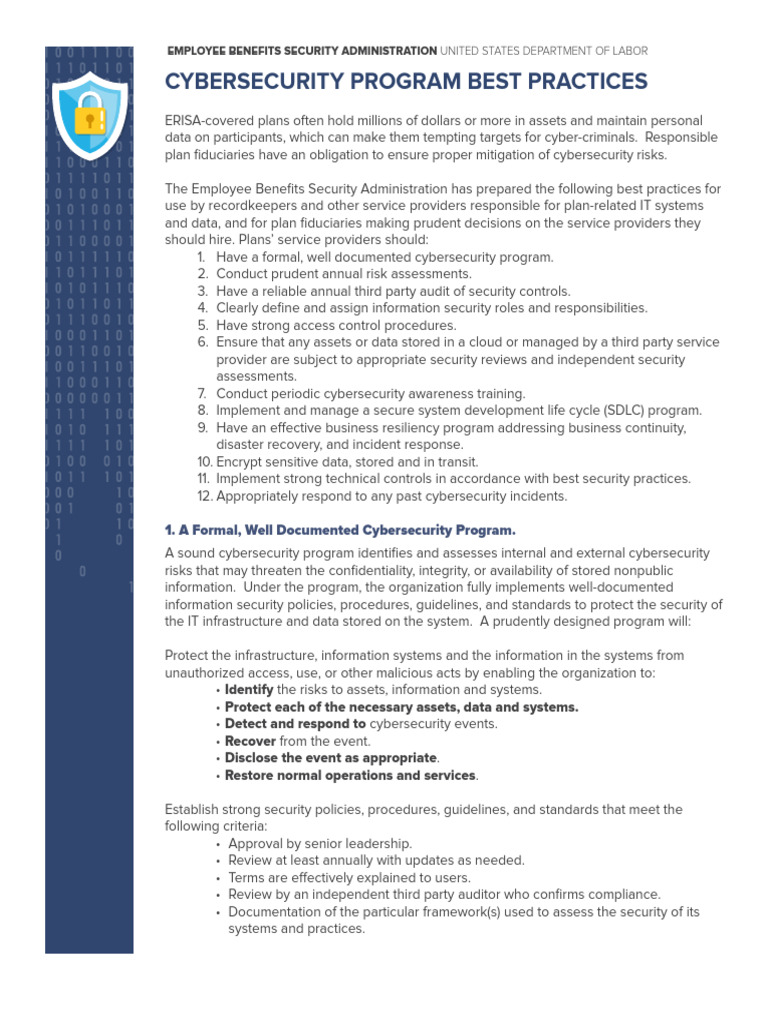 Cybersecurity Best Practices | PDF | Security | Computer Security
