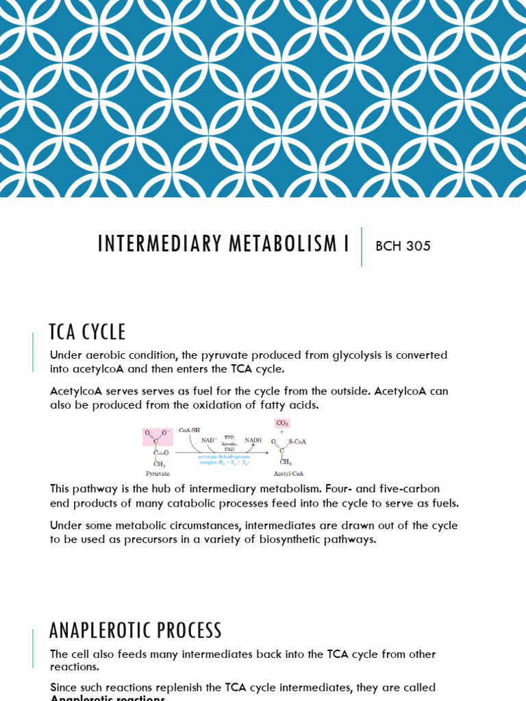 305 TCA Cycle and Others | PDF | Diet & Nutrition | Chemistry