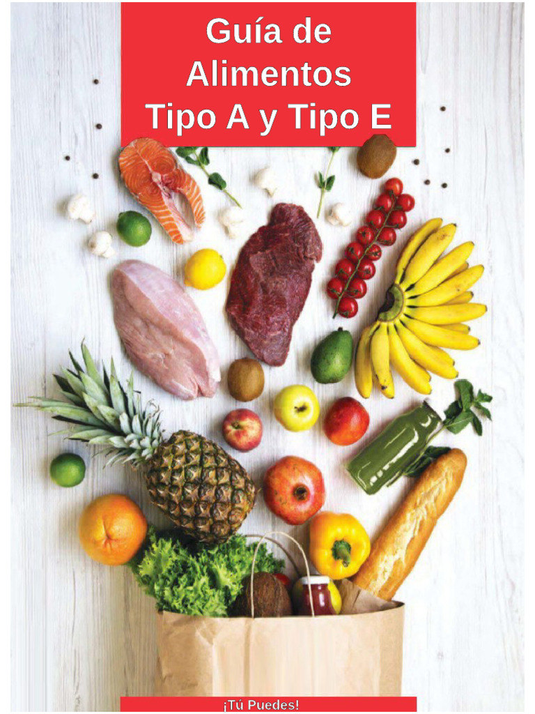 Guía de Alimentación | PDF