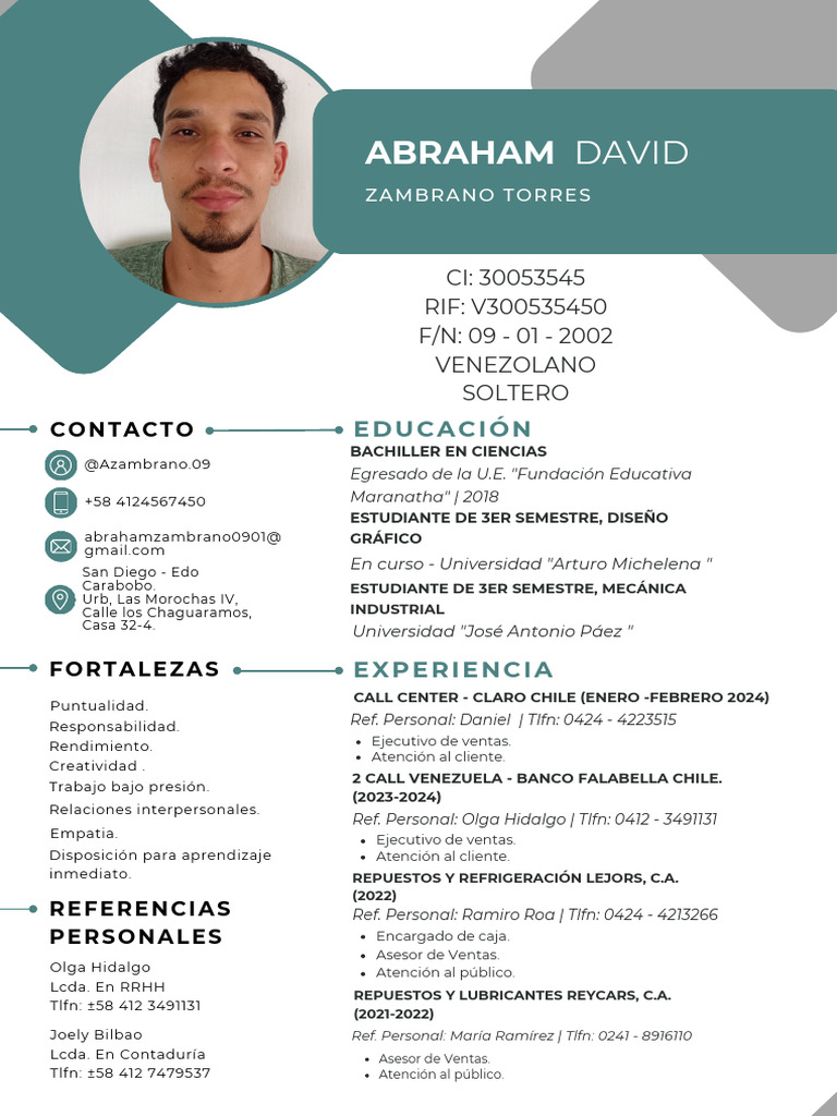 CV David. Ventas | PDF