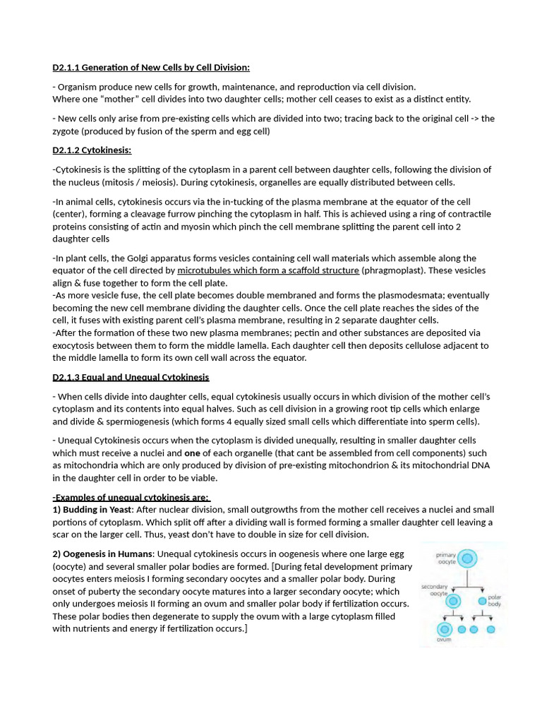 D2.1 Cell Division and Nuclear Division | PDF
