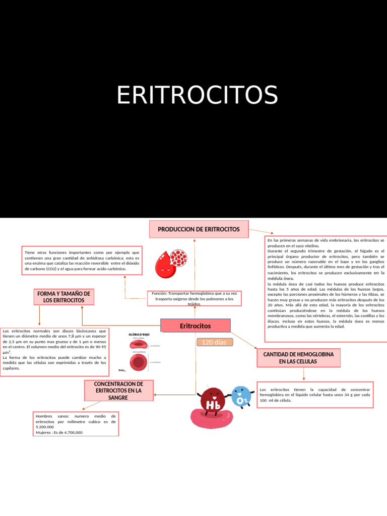 ERITROCITOS | PDF