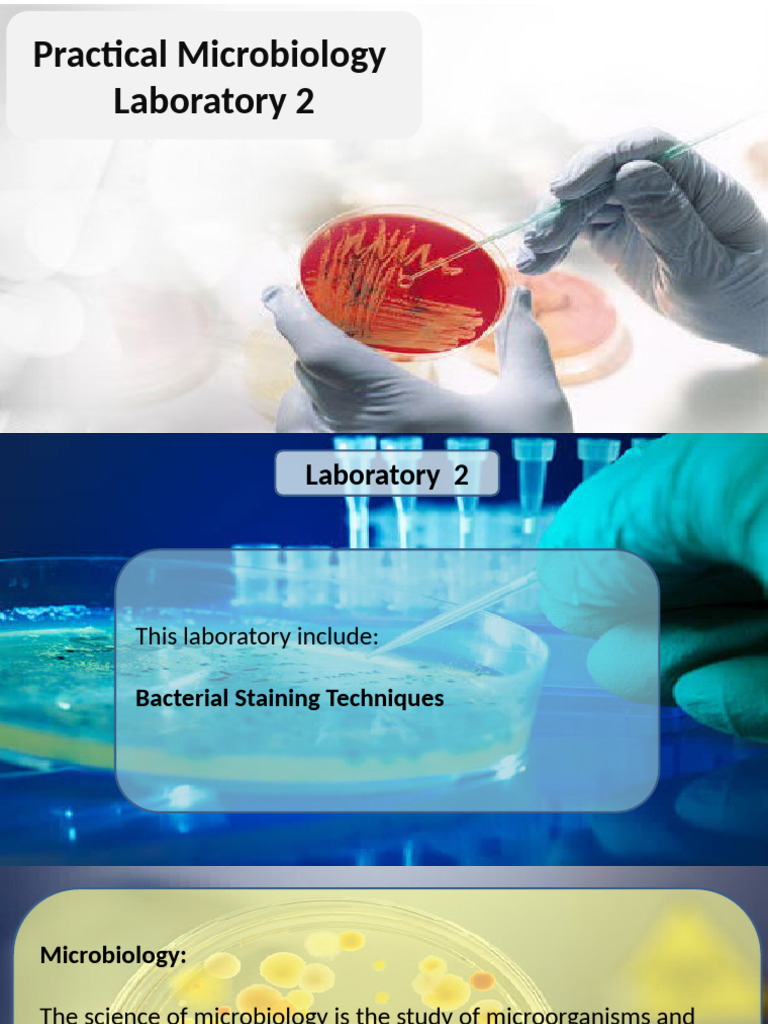 Laboratory 2 Bacterial Staining Techniques | PDF
