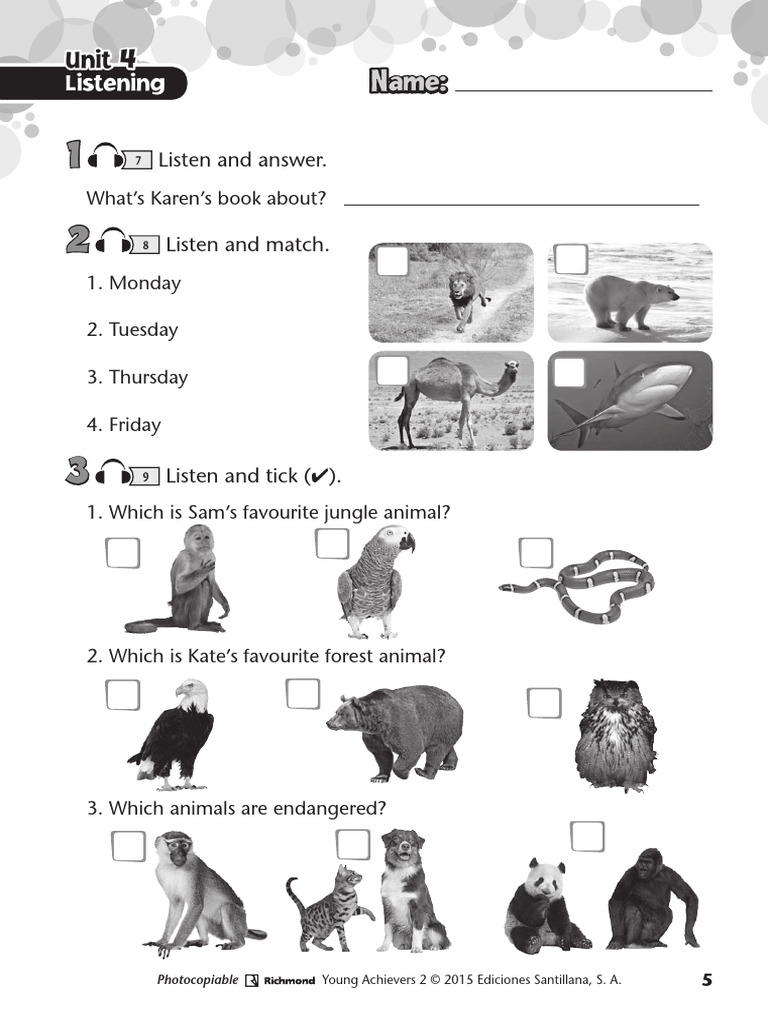 Unit 4 Listening | PDF